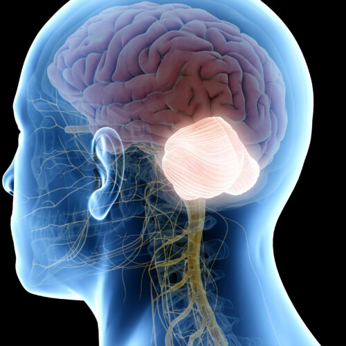 Does Trigeminal Neuralgia Go Away or Get Better? Does Trigeminal Neuralgia Go Away or Get Better?